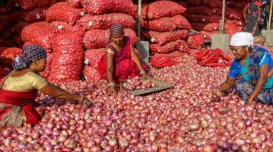 NB Explains | India bans export of onions till March 2024 due to THIS - NewsBharati